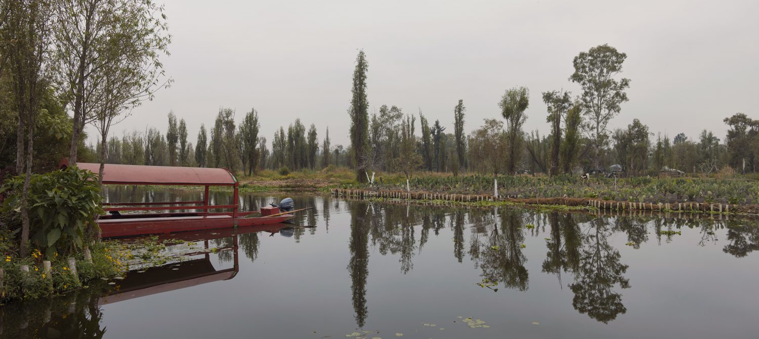 The Chinampas of Mexico City - Resilience Food Stories