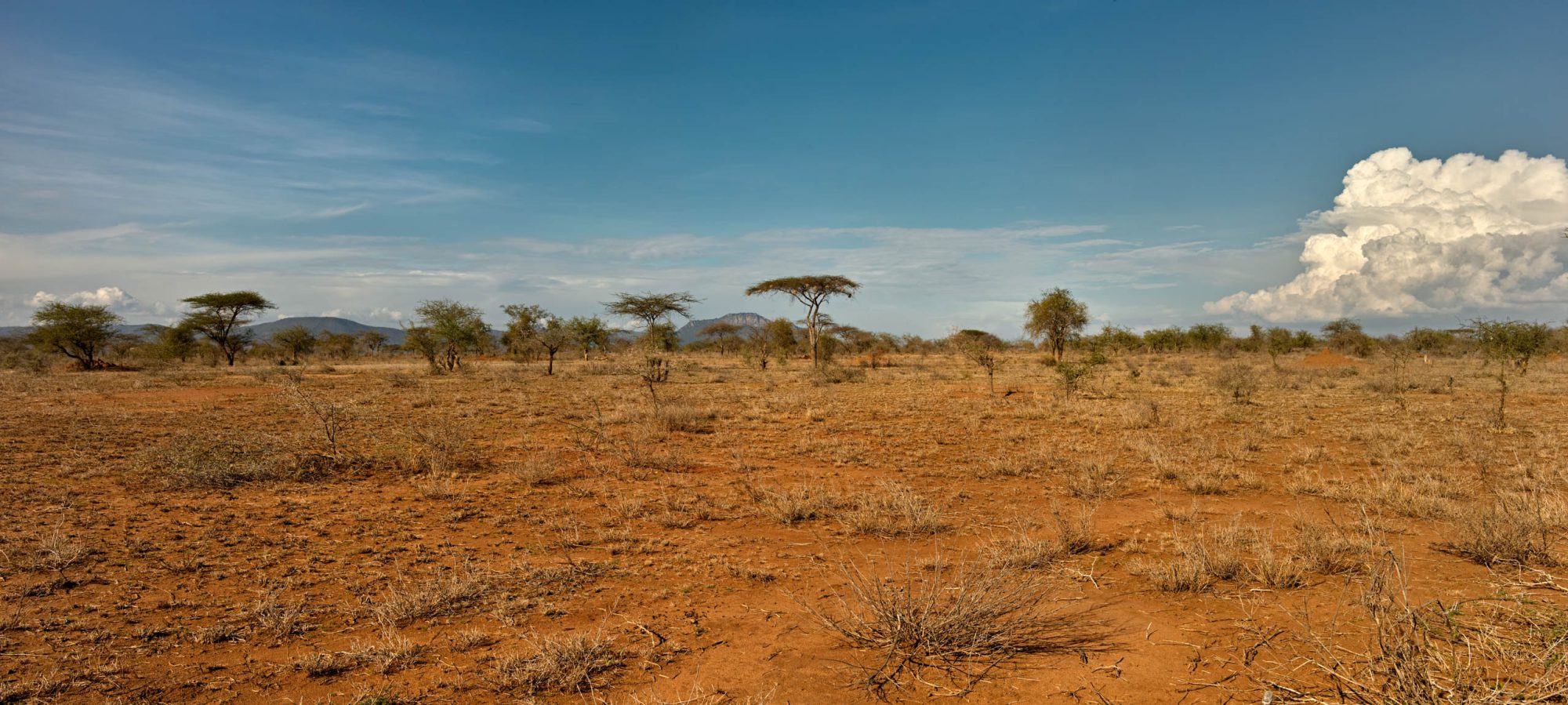 Kenya an introduction - Resilience Food Stories