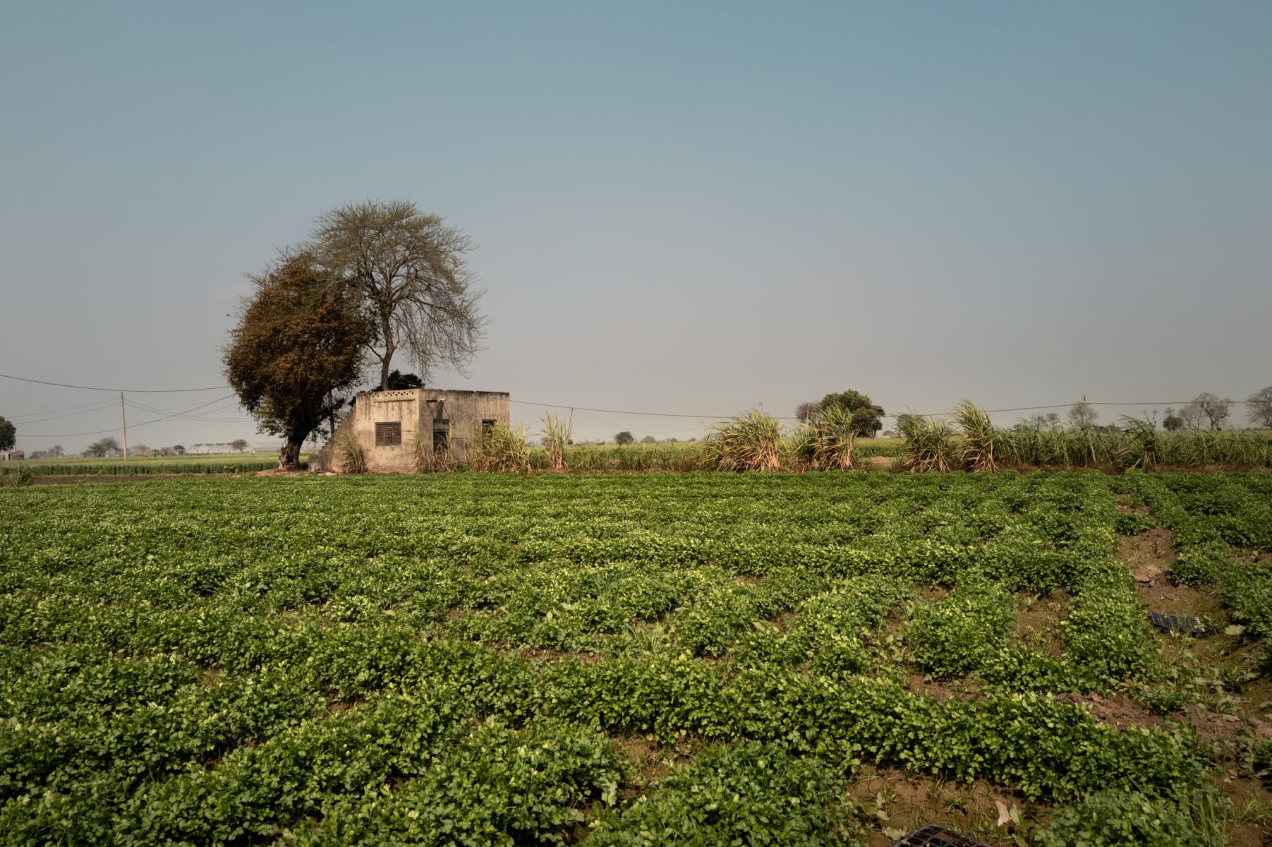 Changing the Food System Regenerative Farming Nature inclusive ...